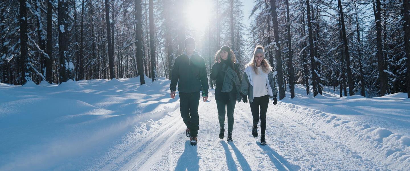 The southeastern Dolomites - Mediterranean climate and mediterranean ...